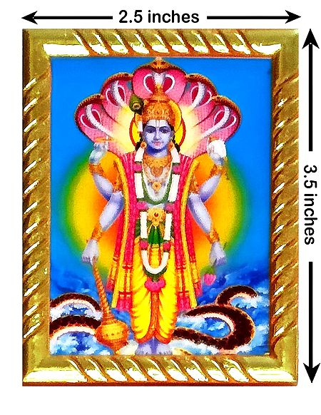 Lord Vishnu - Framed Picture