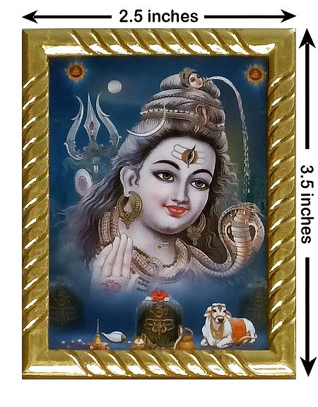 Lord Shiva - Framed Picture