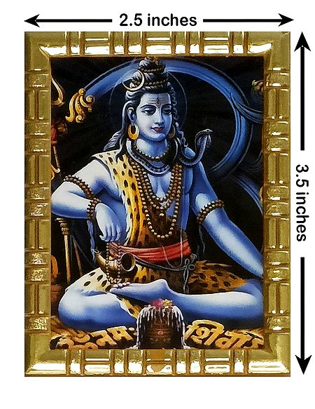 Lord Shiva - Framed Picture