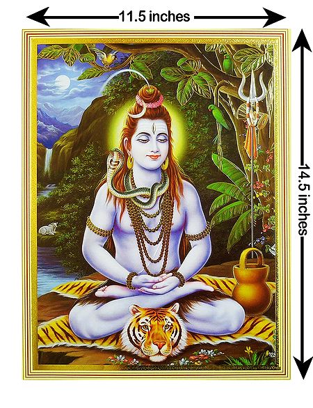 Lord Shiva Poster