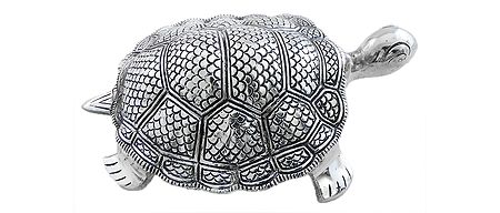 Carved Tortoise - White Metal Sculpture