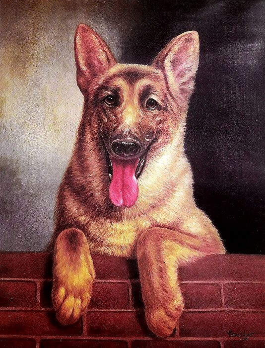 German Shepherd Dog - Poster