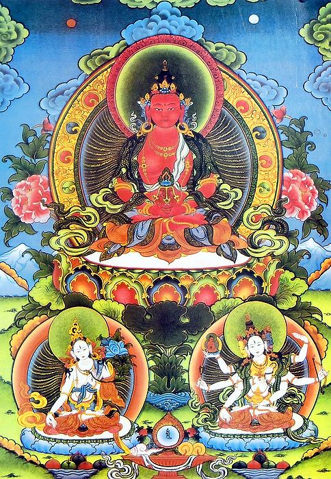 Amitayus Buddha - Thangka Poster