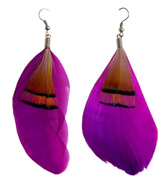 Magenta Feather Earrings