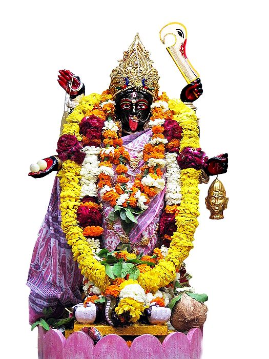 Buy Photographic Print of Goddess Kali