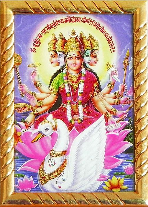 Framed Goddess Gayatri Picture