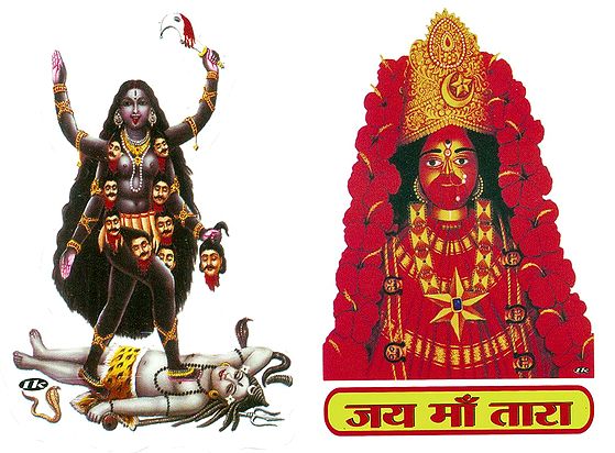 Hindu Goddess Picture on Sticker