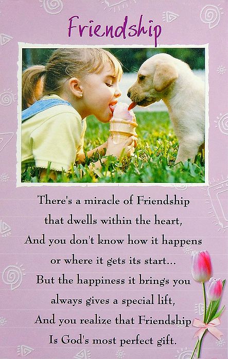 Buy Online Friendship Poster