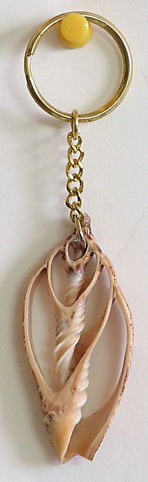 Shell Key Chain