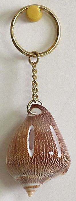 Shell Key Chain