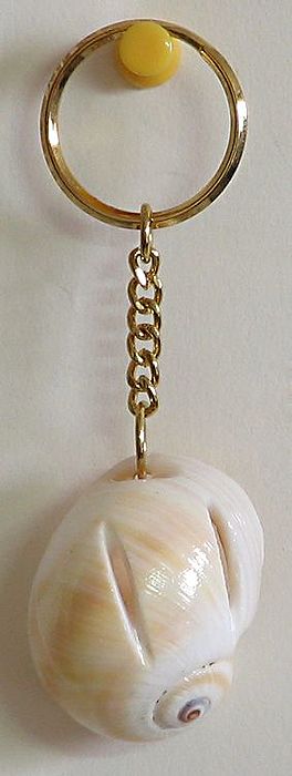 Shell Key Chain