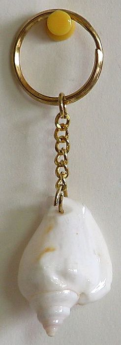 Designer Shell Key Chain - 4 inches