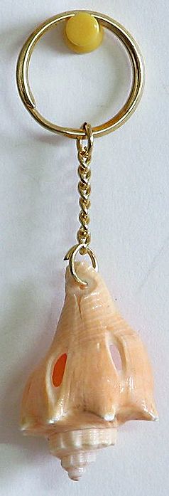 Shell Key Chain