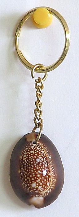 Shell Key Chain