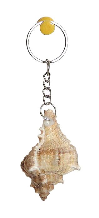Shell Key Chain