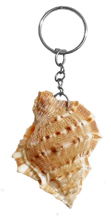 Shell Key Chain