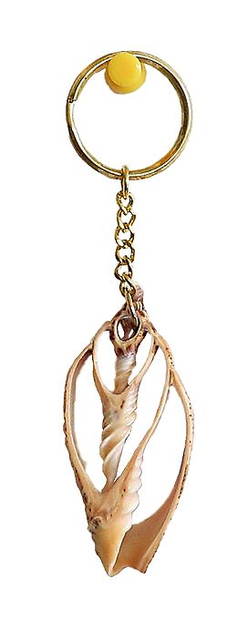 Shell Key Chain