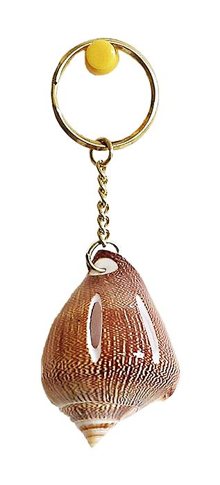 Shell Key Chain
