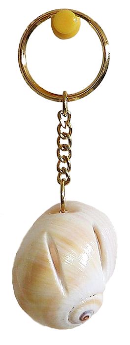 Shell Key Chain