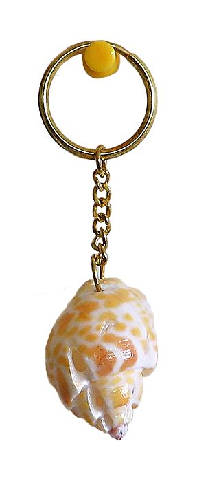 Shell Key Chain