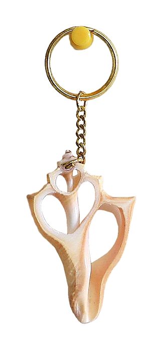 Designer Shell Key Chain