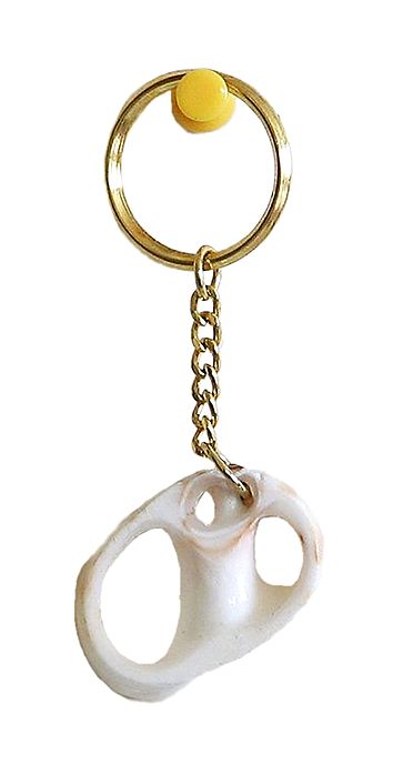 Shell Key Chain
