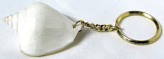 Shell Key Chain