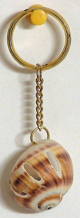 Shell Key Chain