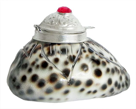 Cowrie Kumkum Container