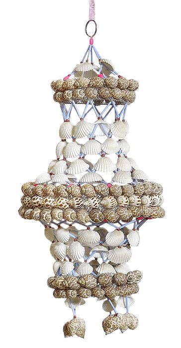 Shell Jhalar Lamp Shade