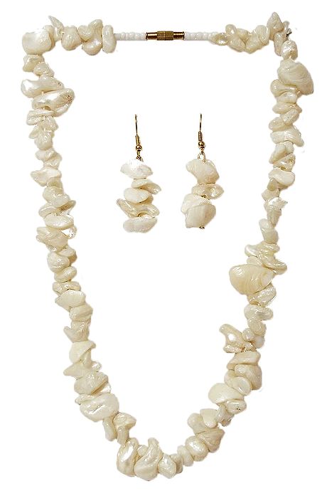 Shell Necklace in Ivory Color