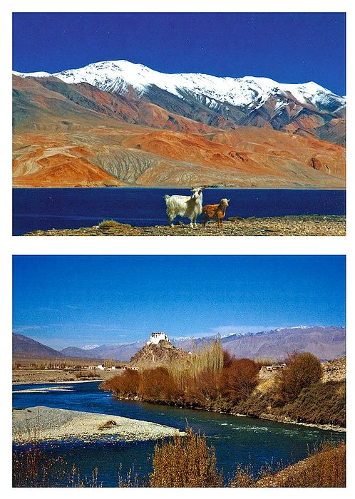 Buy Leh Valley Postcards