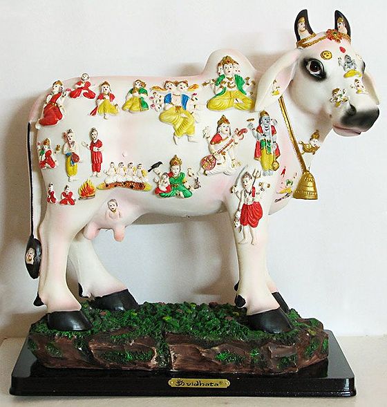 Kamadhenu - The Sacred Cow
