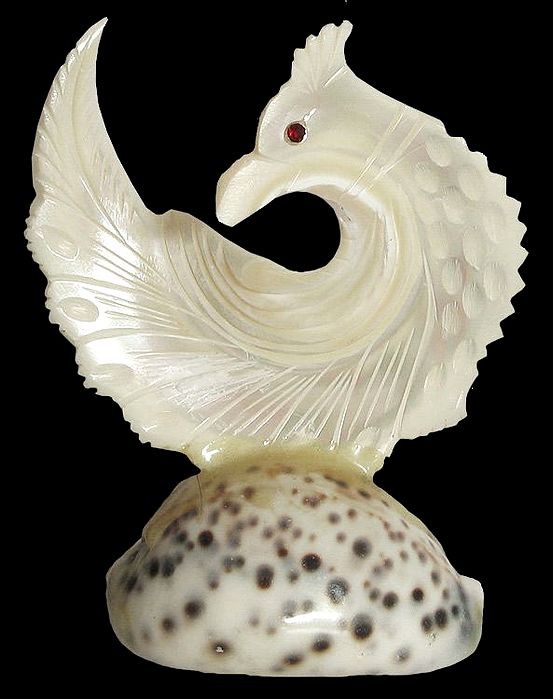 Shell Peacock