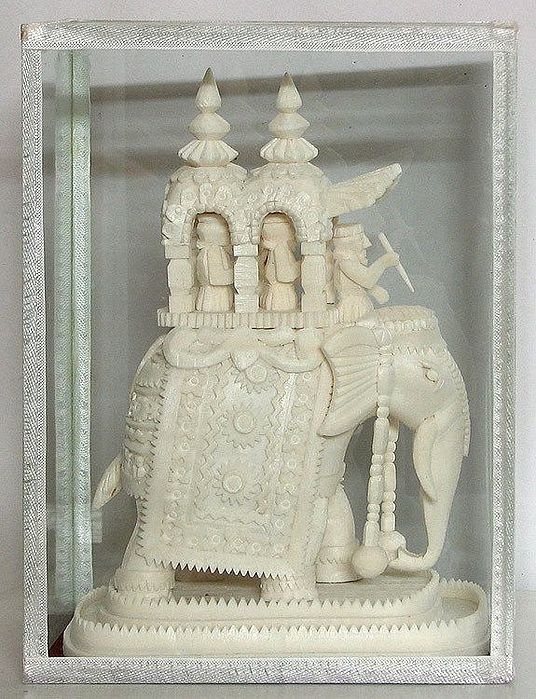 Decorated Indian Elephant with Howdah and King